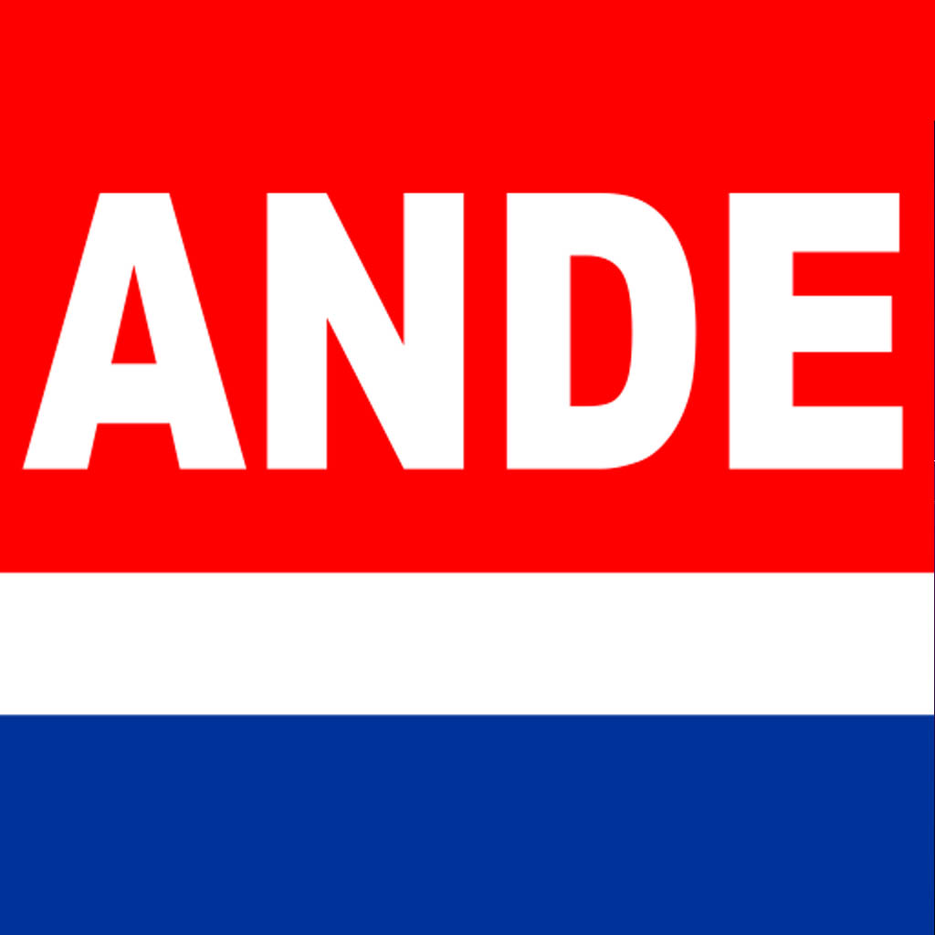 Facilidad y comodidad: Realiza tu reclamo de ANDE de forma online ...